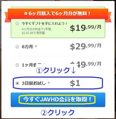 JAVHDが激安になる割引クーポン【最安値で入会可能】